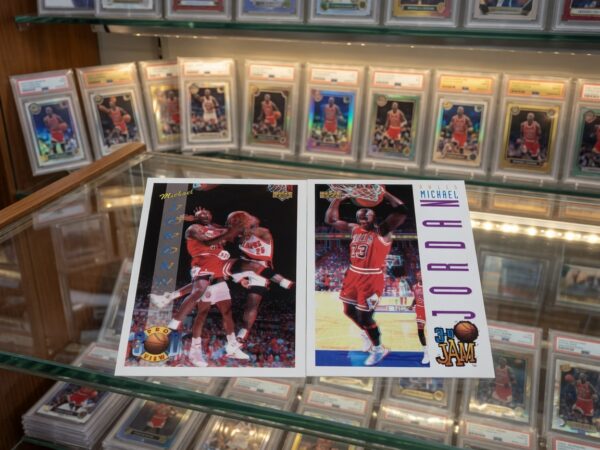 1993-94 Upper Deck Pro View 3D #23 #91 Michael Jordan | Self-Graded ...